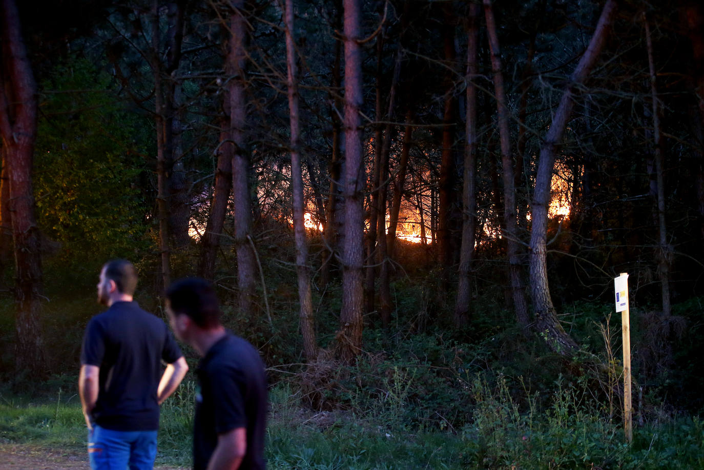 Un incendio en Las Regueras eleva el nivel de alerta | El Comercio: Diario de Asturias